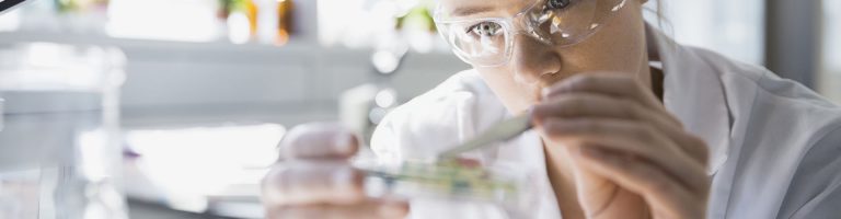 Research - Sylvan Bio